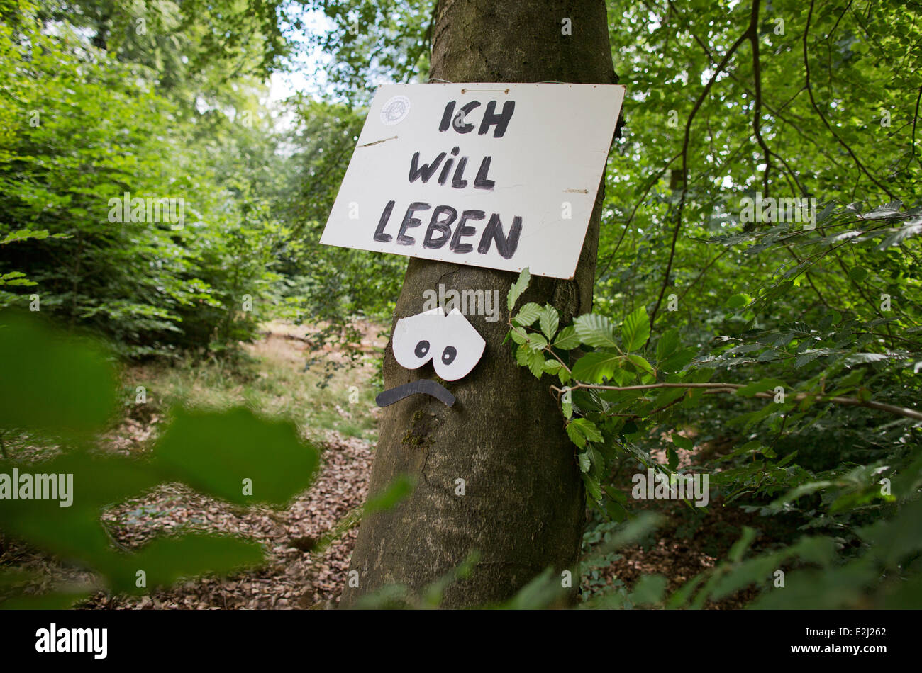 Trebur, Germany. 20th June, 2014. 'I want to live' (lit.) is written on ...