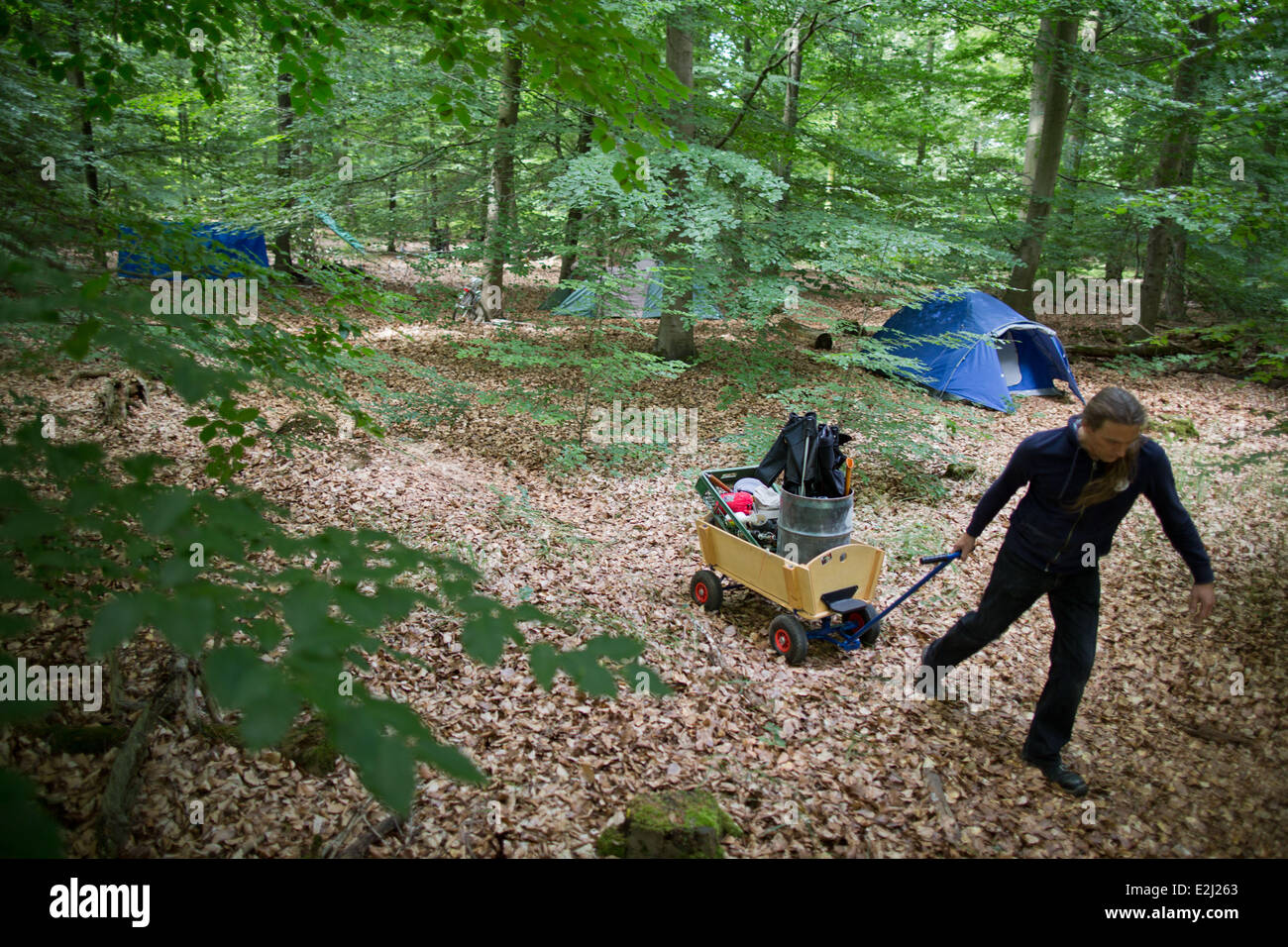 Trebur, Germany. 20th June, 2014. An activist of Robin Wood pulls a ...