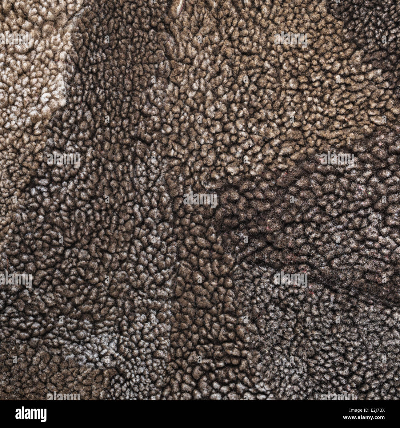 sheep fur texture for background, Mouton (manufactured sheepskin Stock ...