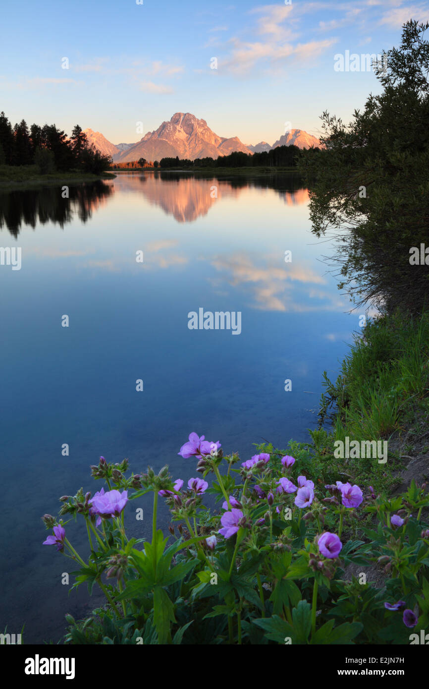 Mt Moran High Resolution Stock Photography and Images - Alamy