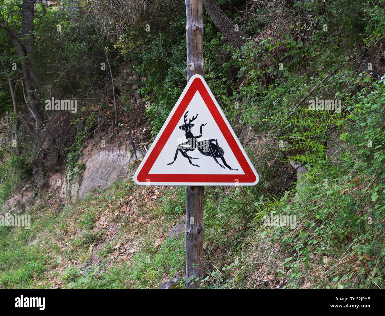 Beware the insects - roadside sign in south of France Stock Photo - Alamy