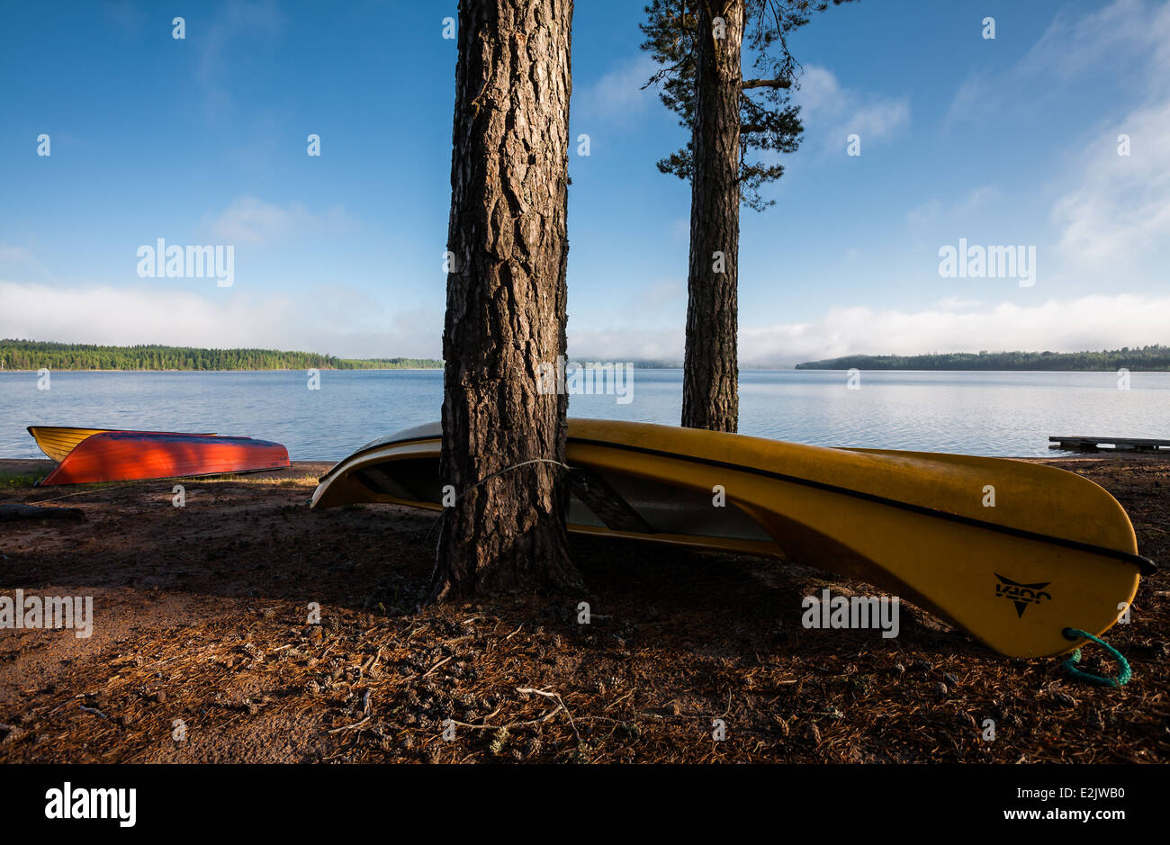 Canoe against a tree hi-res stock photography and images - Alamy