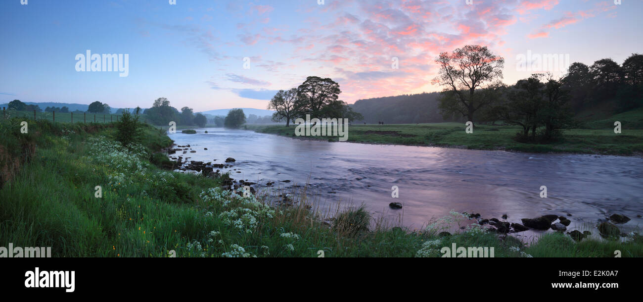 Early morning light over a misty River Wharfe in Yorkshire, England ...