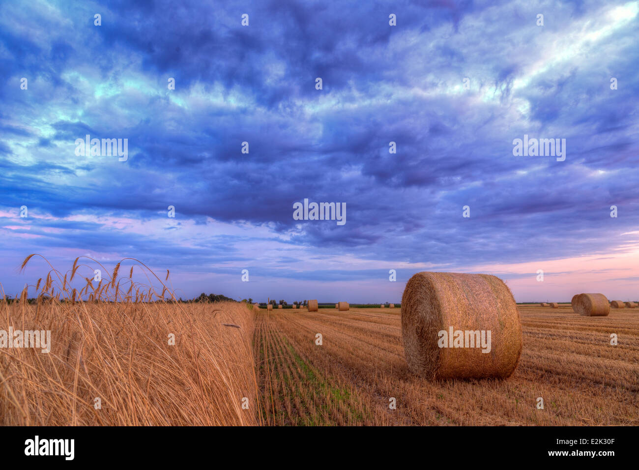 Sunset over farm field with hay bales Stock Photo - Alamy