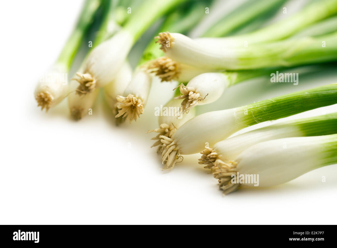 Root vegetable border hi-res stock photography and images - Alamy
