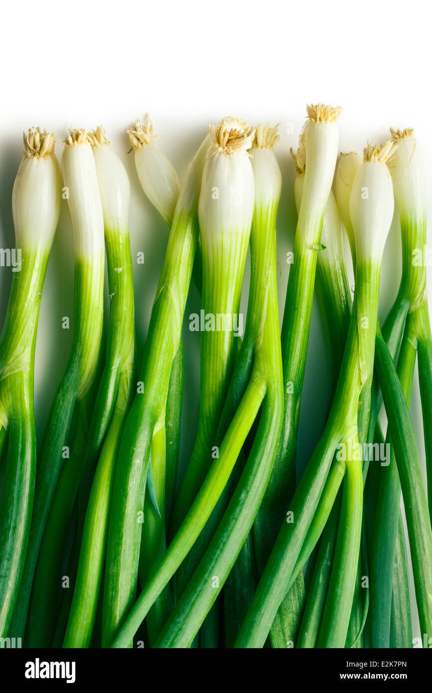 fresh spring onion on white background Stock Photo - Alamy