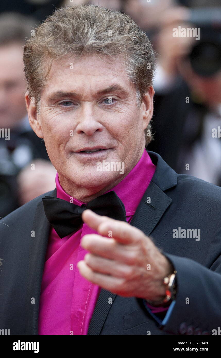 David Hasselhoff at the The Bling Ring premiere during 66th Fim ...