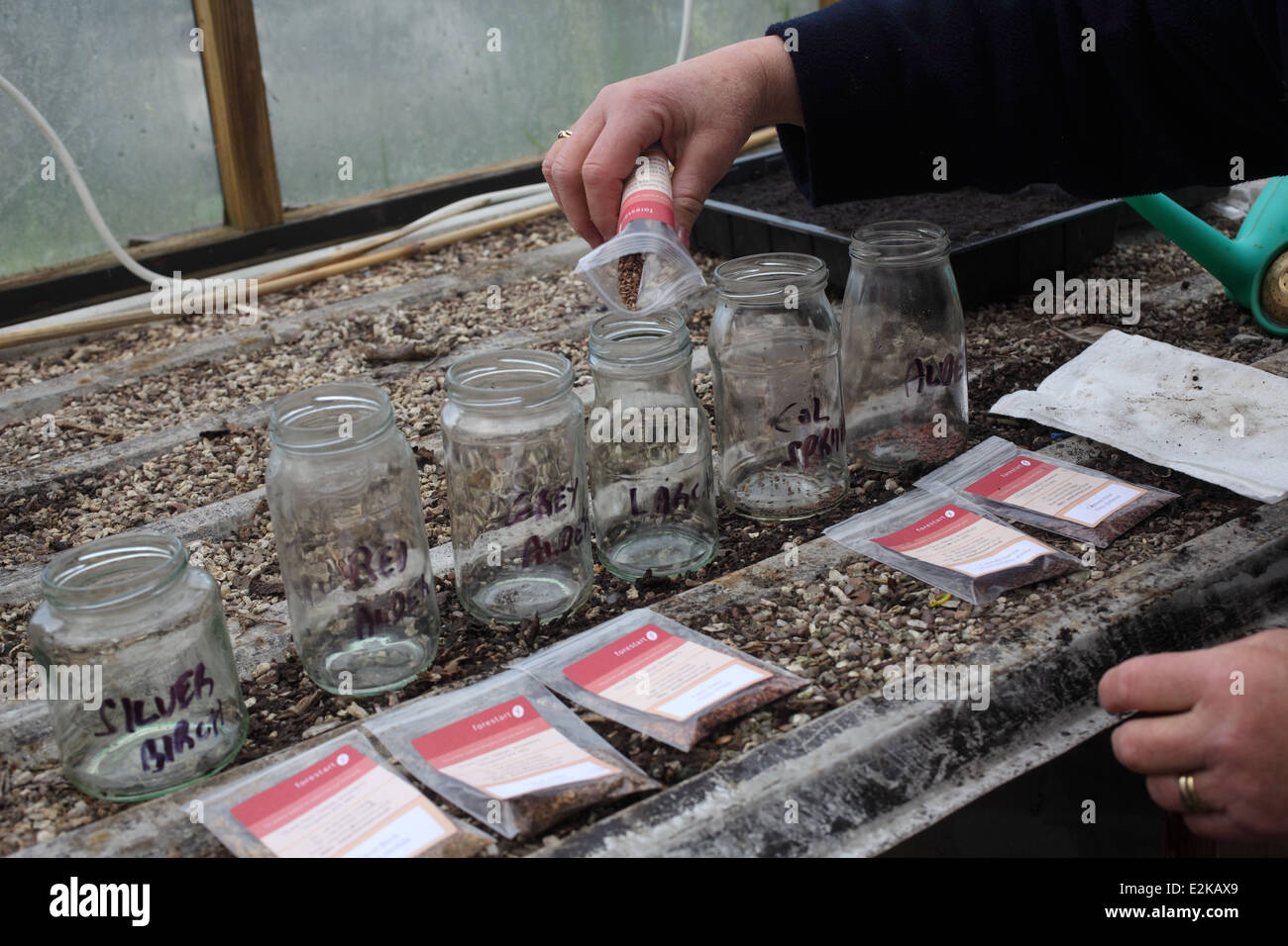 Growing trees requiring stratification from seed step 2 add seeds to ...