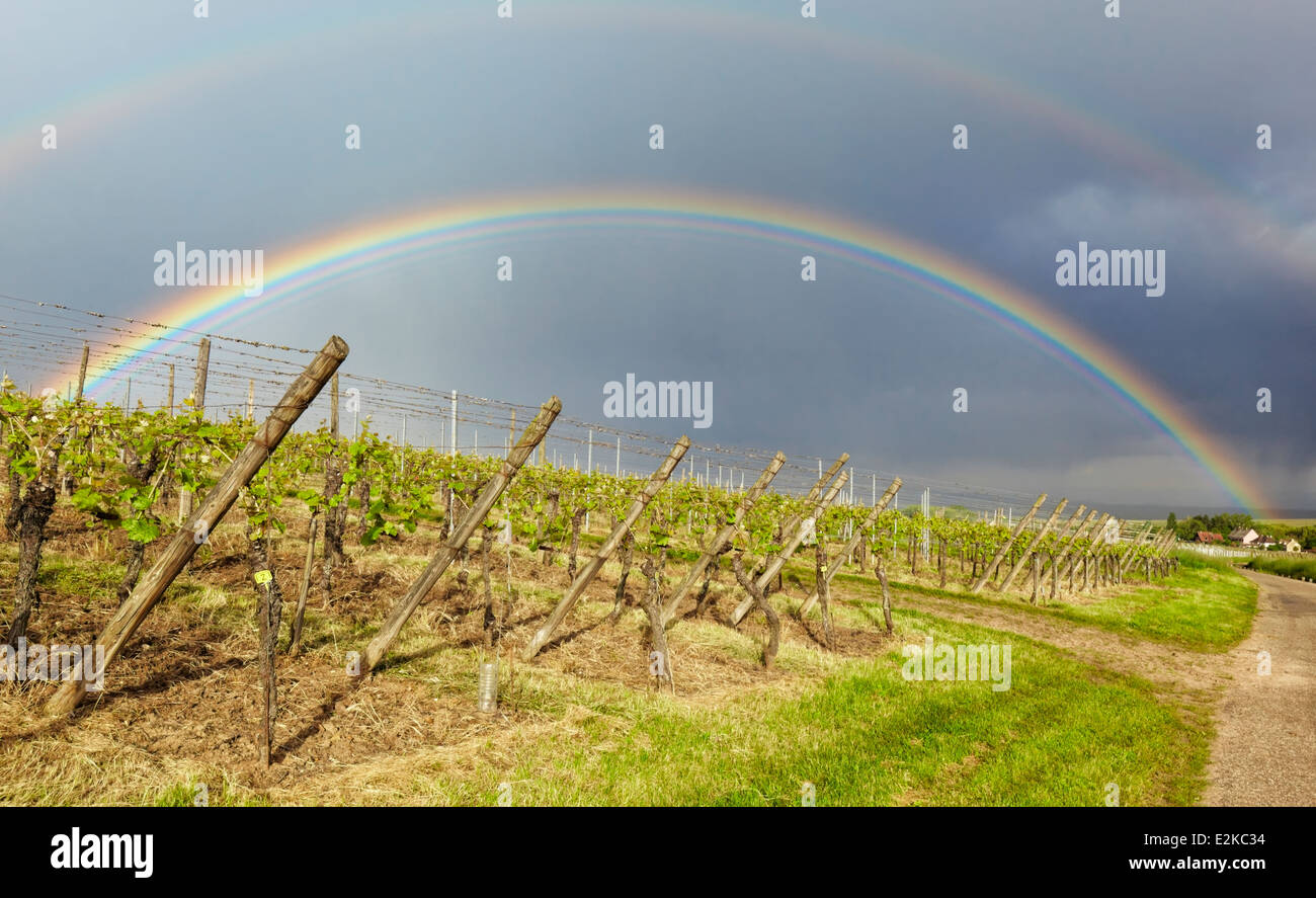 Rainbow over vineyards at Hunawihr. Alsace, France, Europe Stock Photo ...