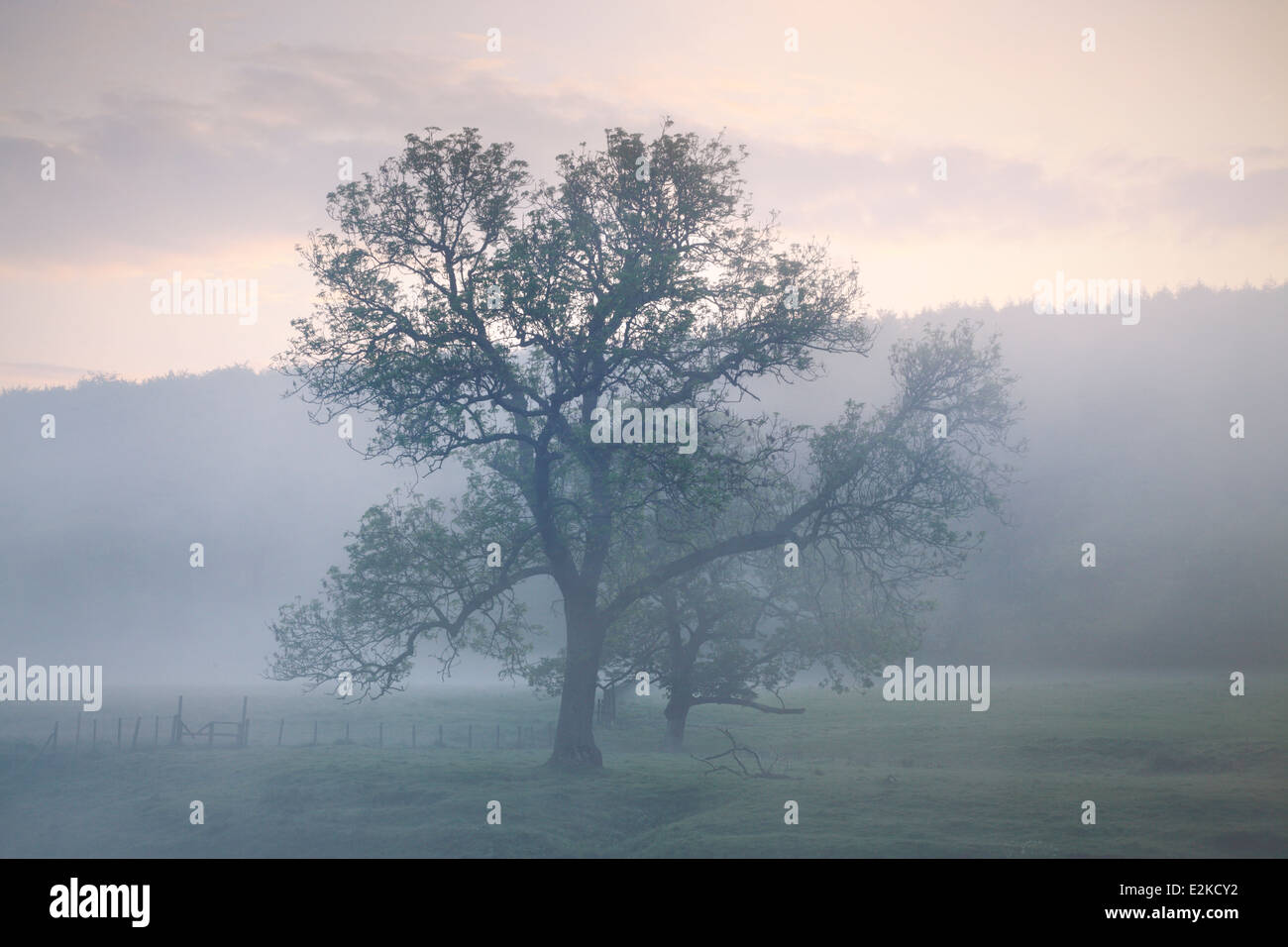 Misty along the river hi-res stock photography and images - Alamy