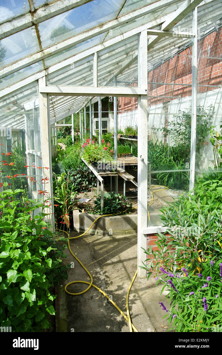 Glasshouse being watered Stock Photo - Alamy