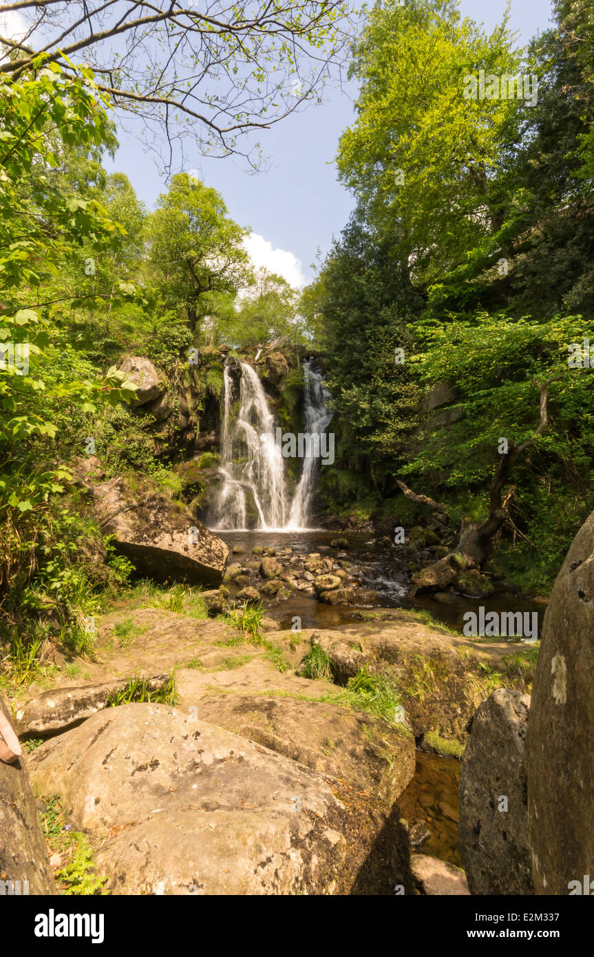 Posforth gill waterfall in the Yorkshire dales, united kingdom Stock ...