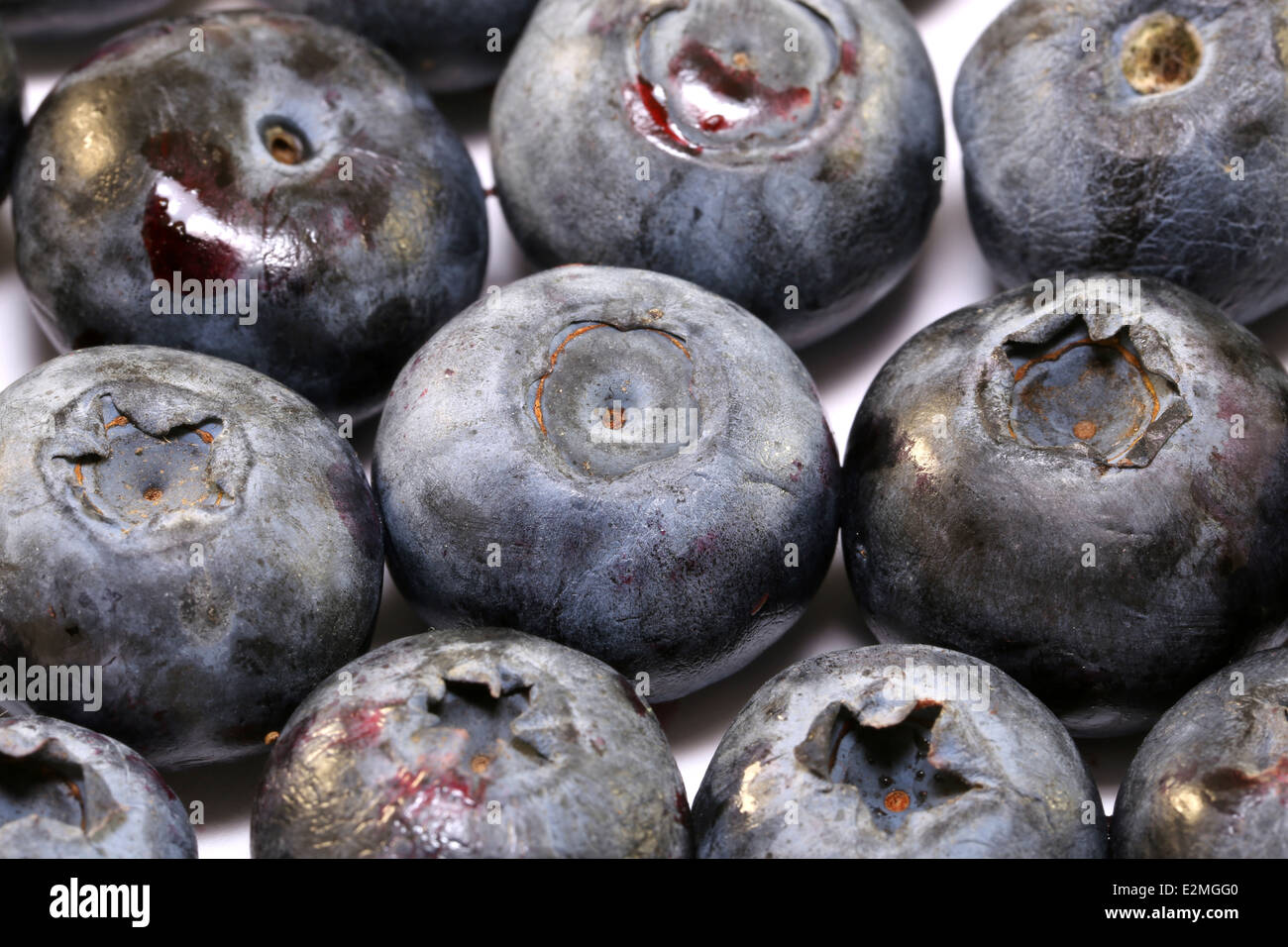 beautiful large blueberries Stock Photo - Alamy