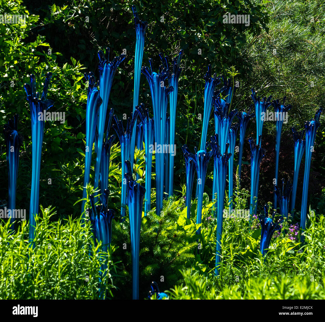 Dale Chihuly hand-blown glass art exhibit at the Denver Botanic Gardens ...