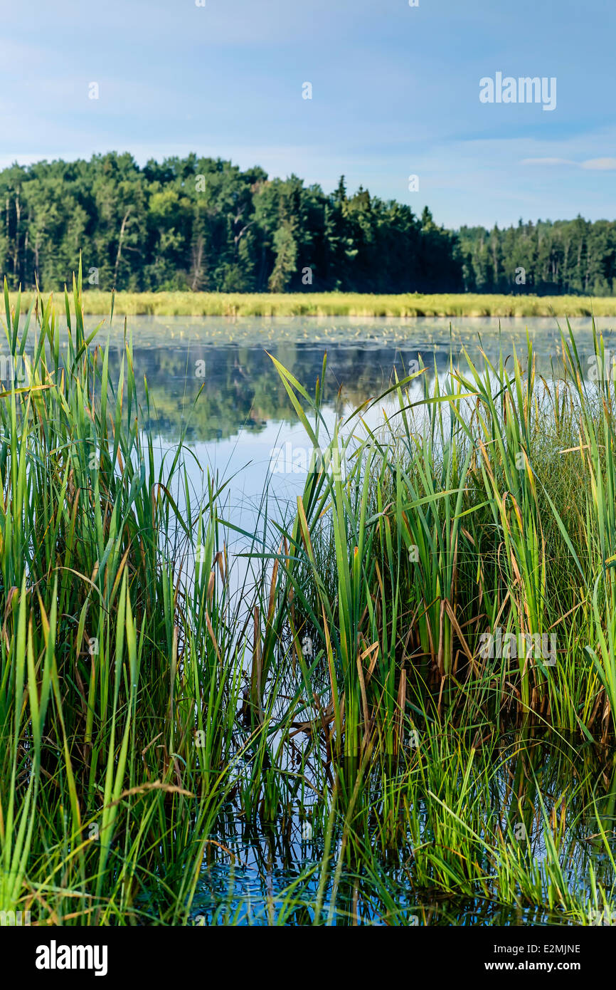 Blue marsh lake hi-res stock photography and images - Alamy