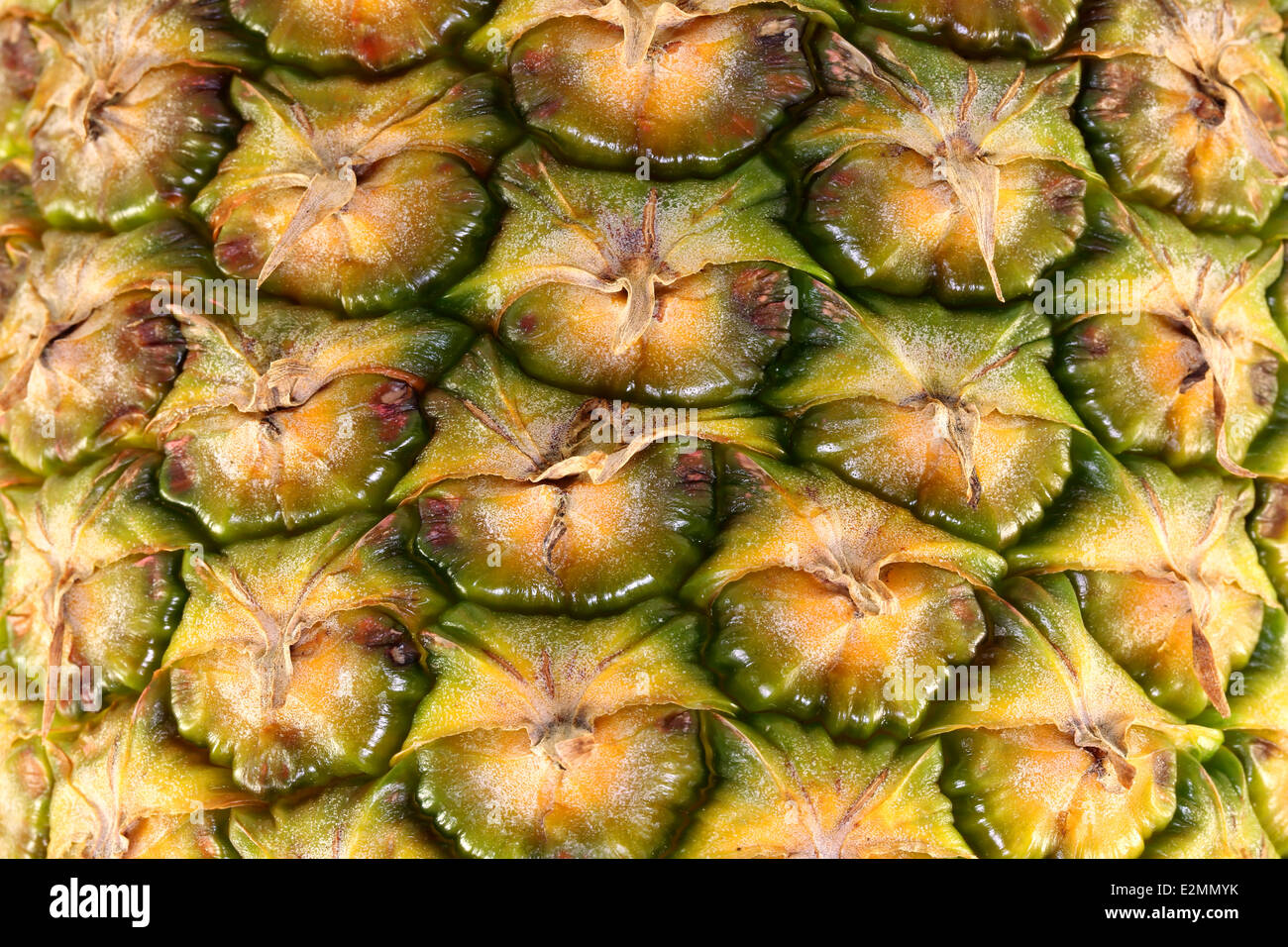 beautiful close-up texture of pineapple Stock Photo - Alamy