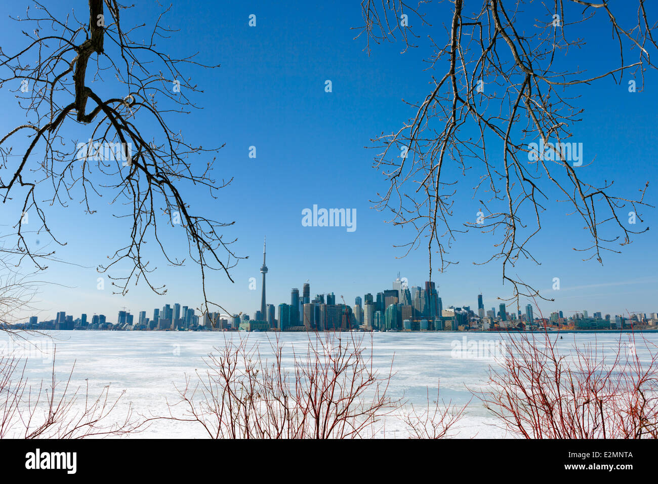 Toronto Skyline in Winter Stock Photo - Alamy