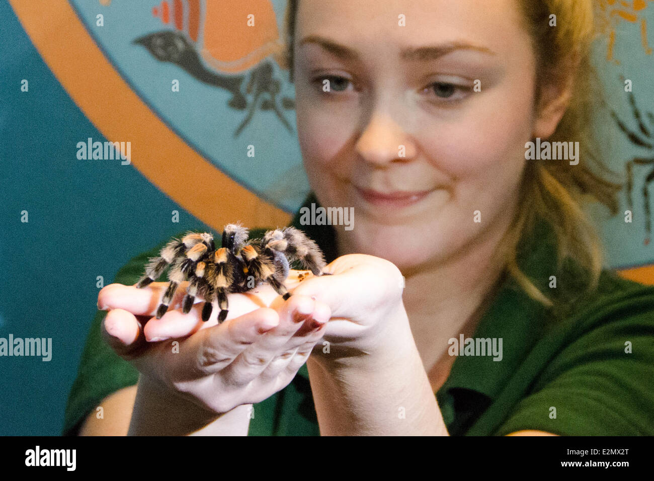 Zookeepers prepare to count every animal at ZSL London Zoo's annual ...