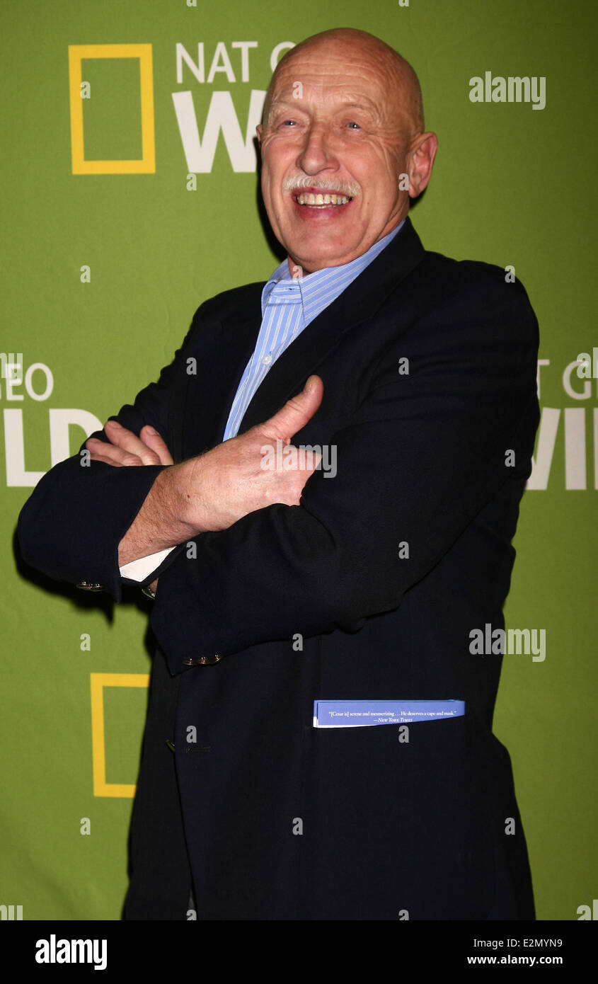 National Geographic Channels' TCA party at the Langham Hotel Featuring ...