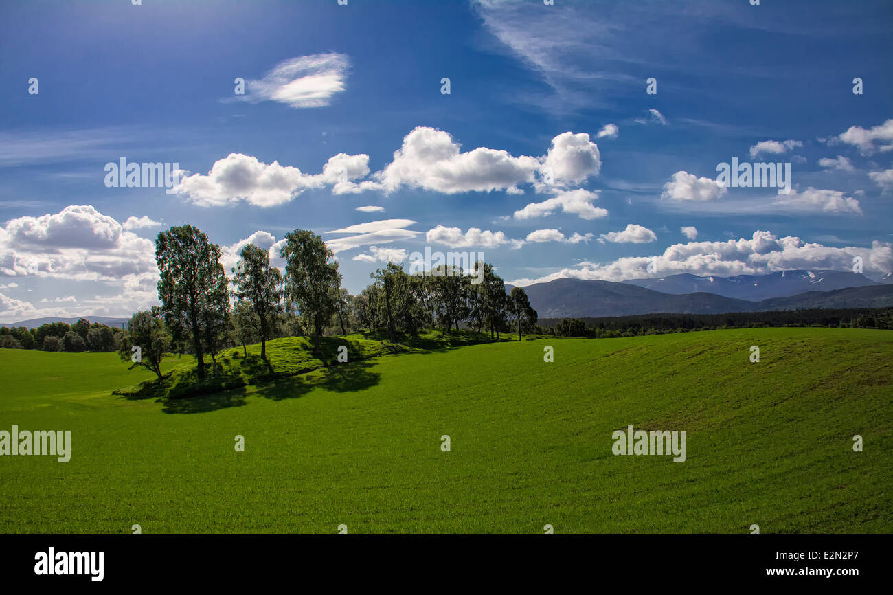 A Summers Day Stock Photo - Alamy