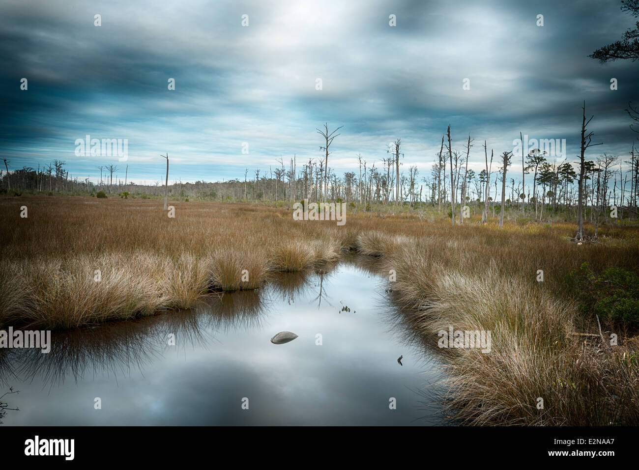 A view of the Georgia Coastal marsh Stock Photo - Alamy