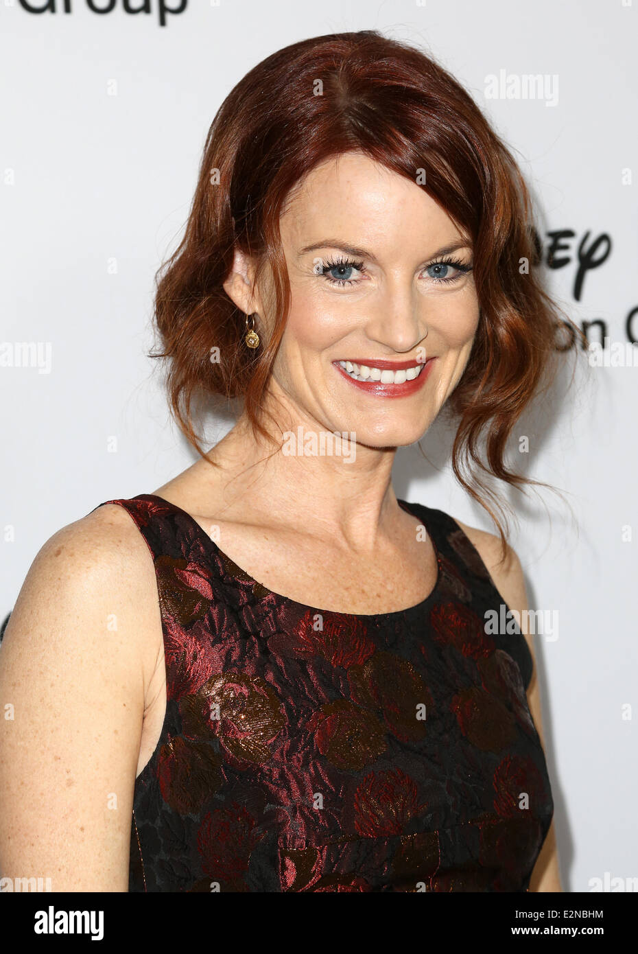 Disney ABC Television Group Hosts “TCA Winter Press Tour” at the ...