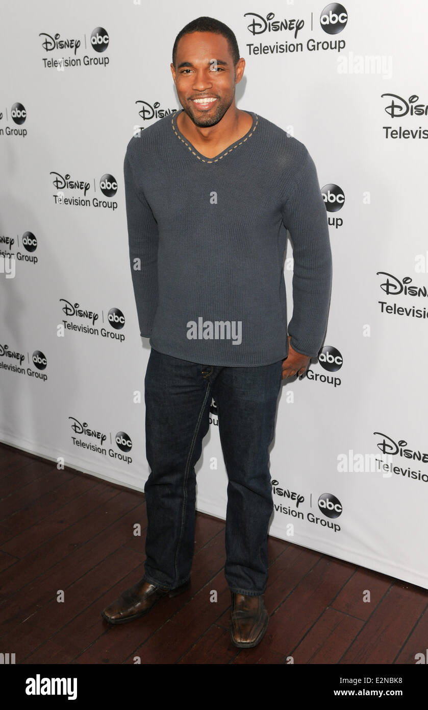 Disney ABC Television Group Hosts “TCA Winter Press Tour” at the ...