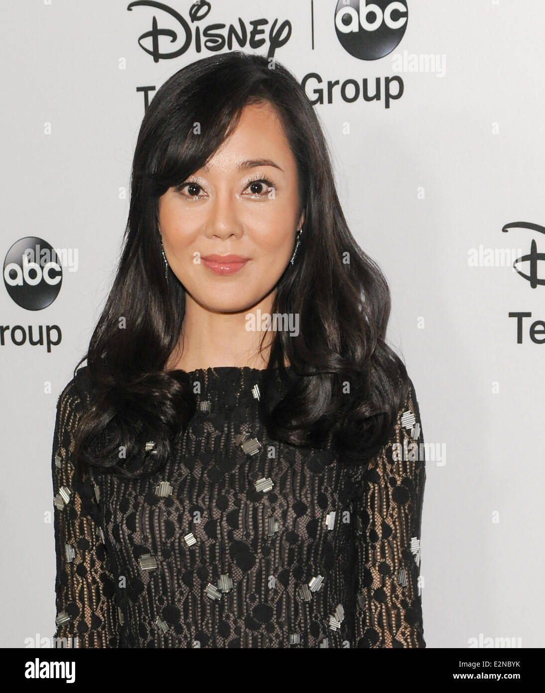 Disney ABC Television Group Hosts “TCA Winter Press Tour” at the ...