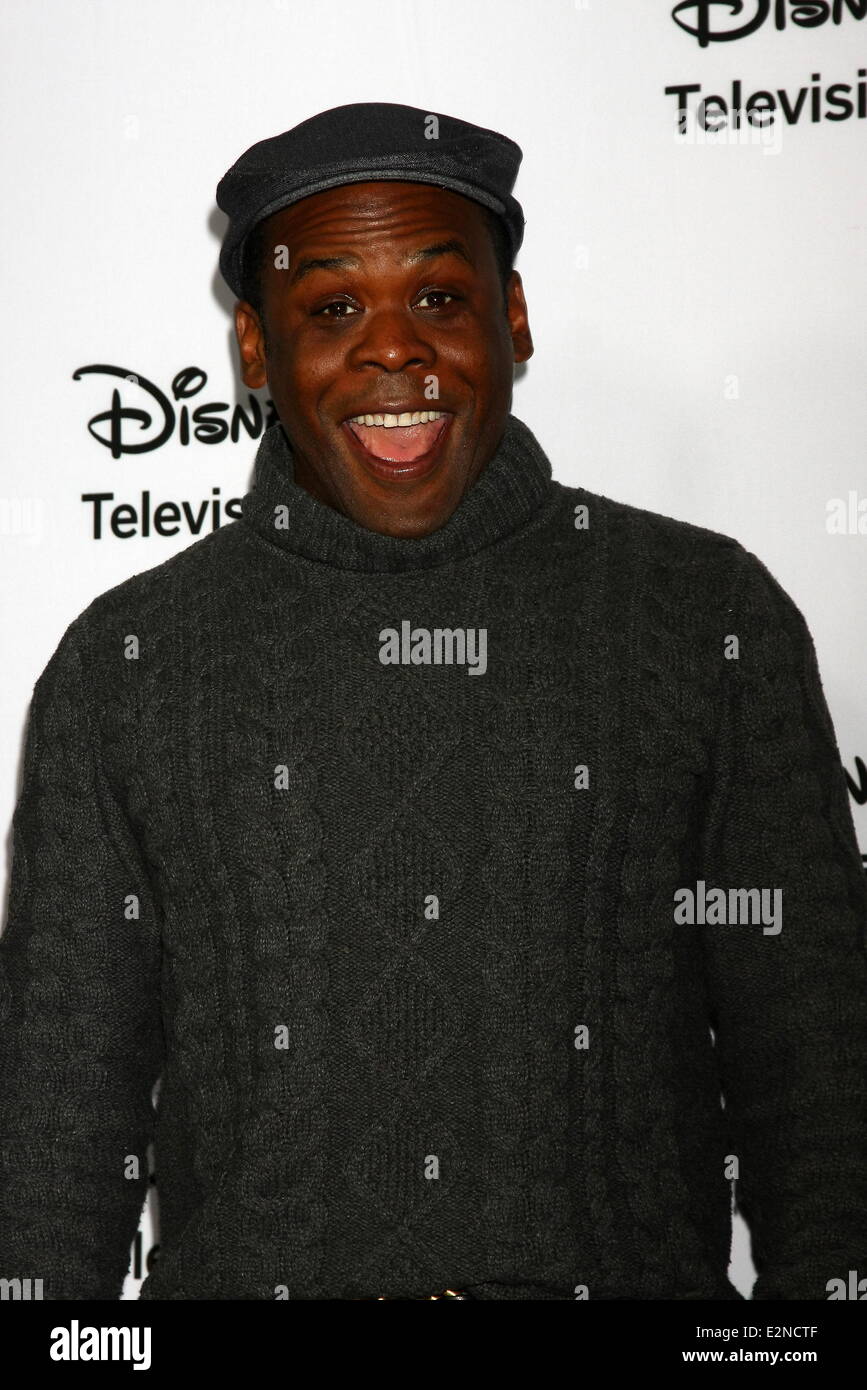 ABC TCA Winter 2013 Party at Langham Huntington Hotel Featuring: Ray ...