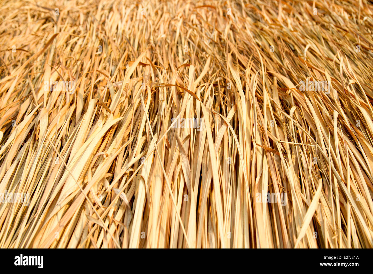 Abstract straw roof hi-res stock photography and images - Alamy