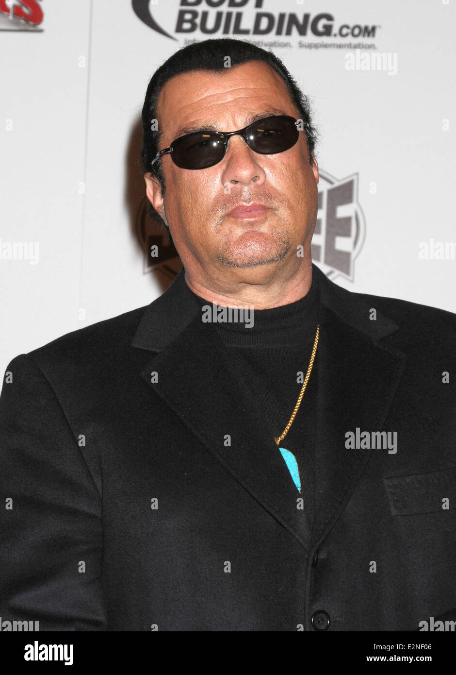 Steven Seagal Fighting Style