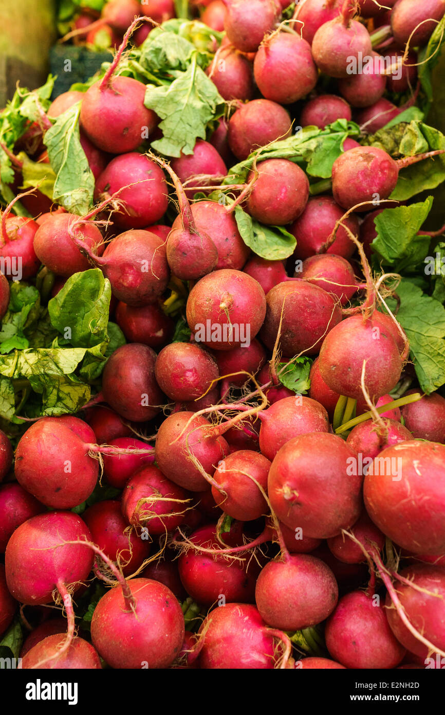 Radish supermarket hi-res stock photography and images - Alamy
