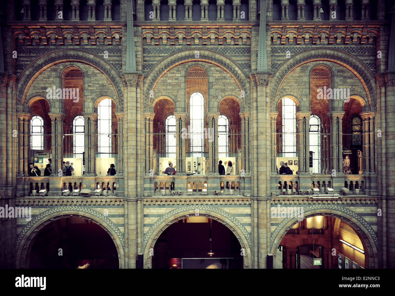 Natural History museum interior Stock Photo - Alamy