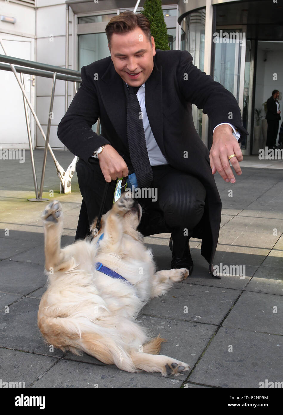 Celebrities are greeted by a trainee guide dog called Travis as they ...