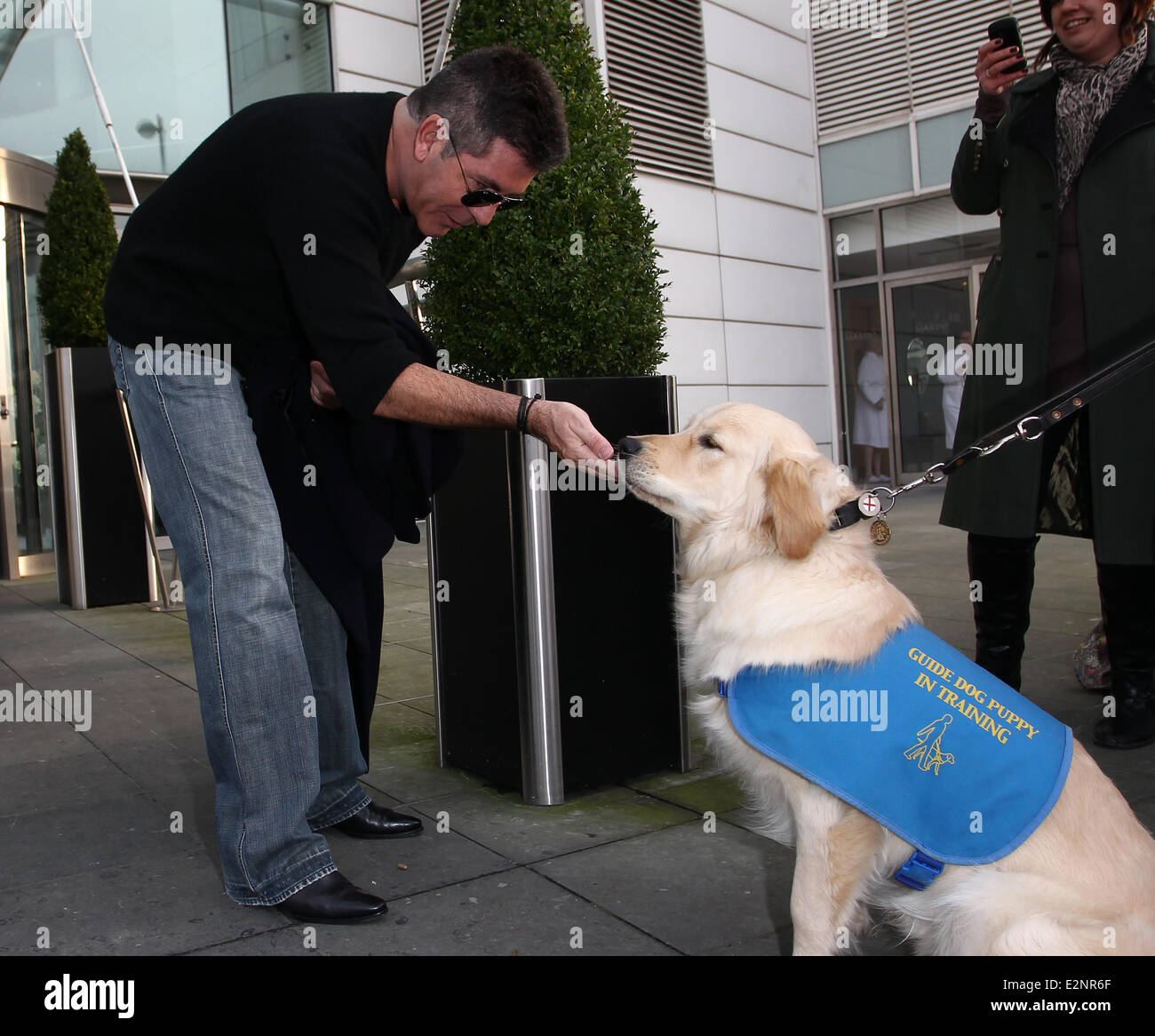 Celebrities are greeted by a trainee guide dog called Travis as they ...