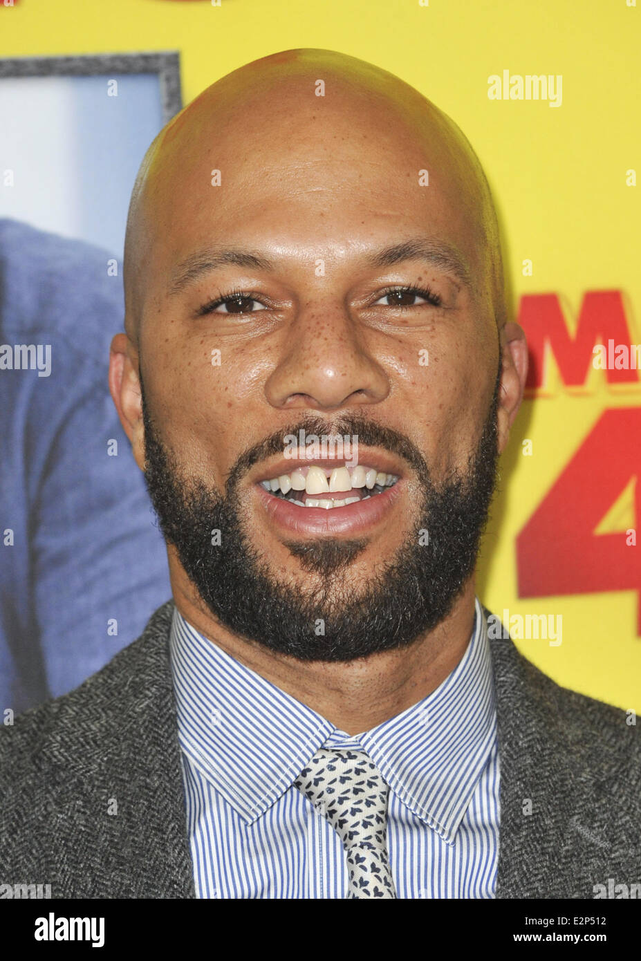 Movie 43 - Los Angeles Premiere - Arrivals Featuring: Common Where: Los ...