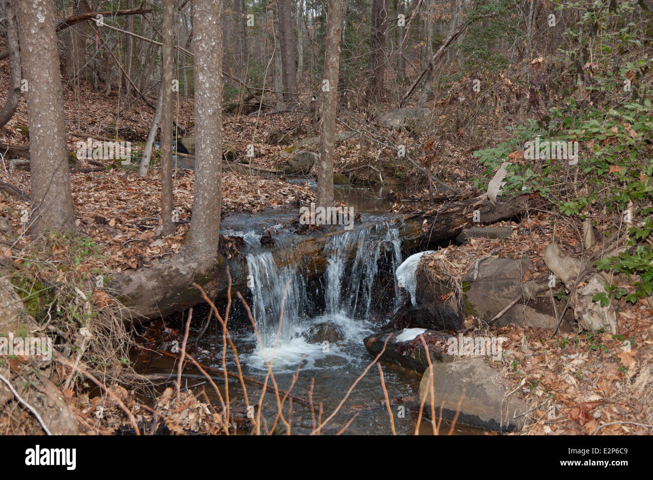 Log over water hi-res stock photography and images - Alamy