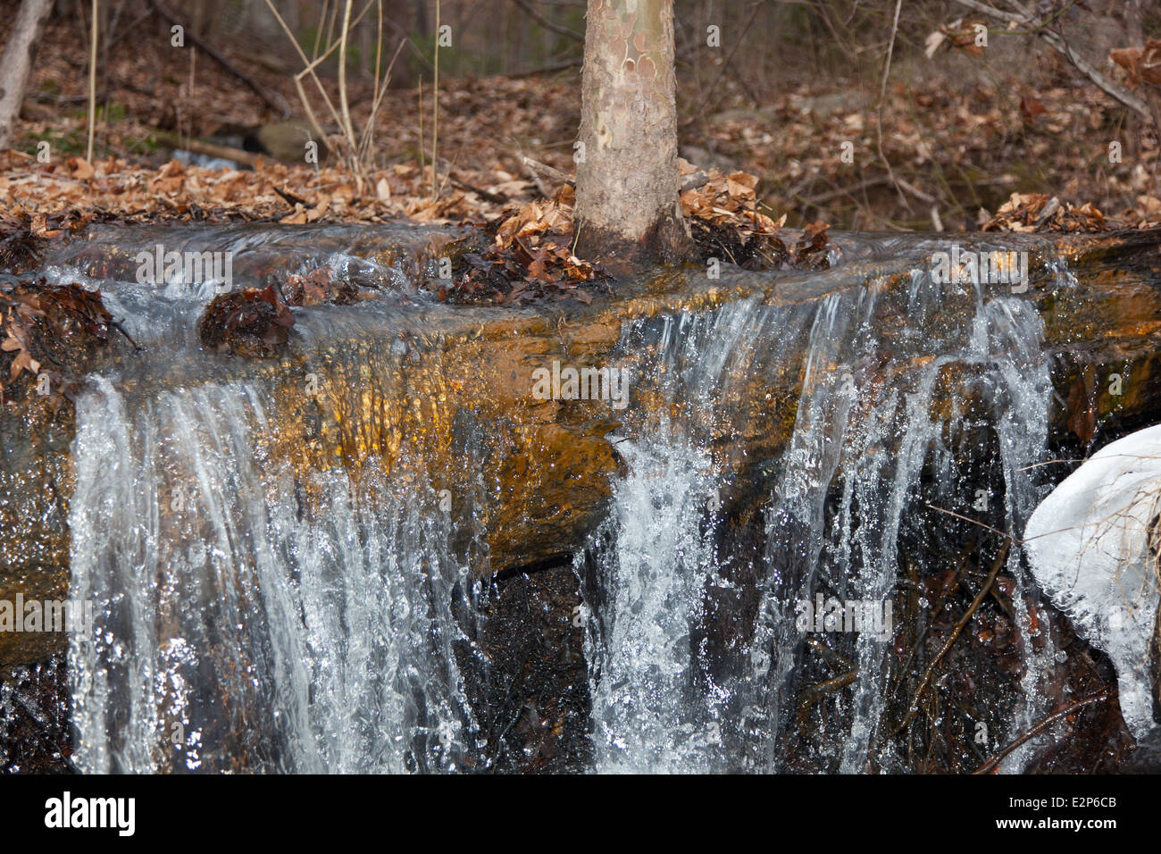 Log onto hi-res stock photography and images - Alamy