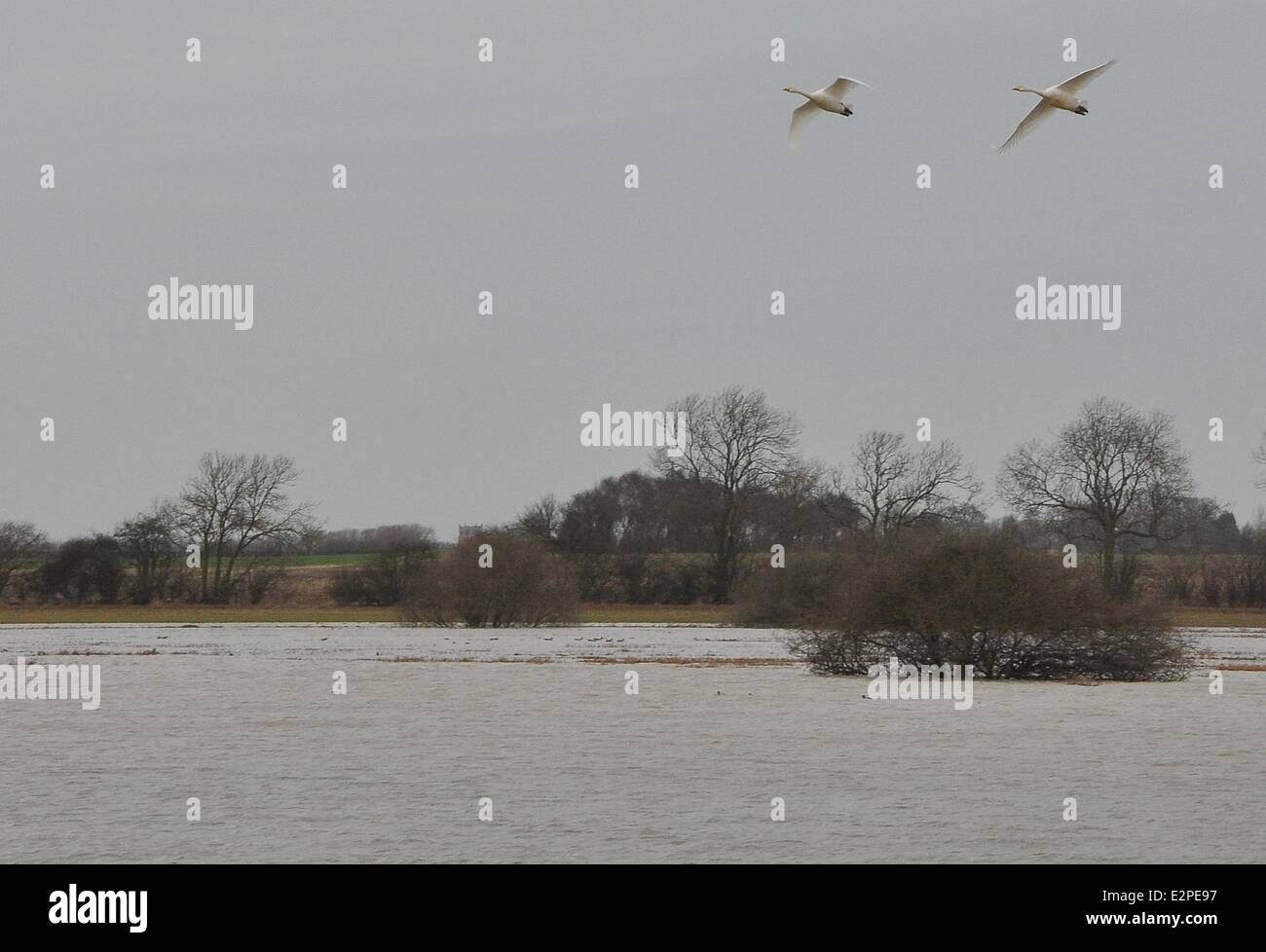 Flooding in Bubwith, East Yorkshire The River Derwent burst its banks ...