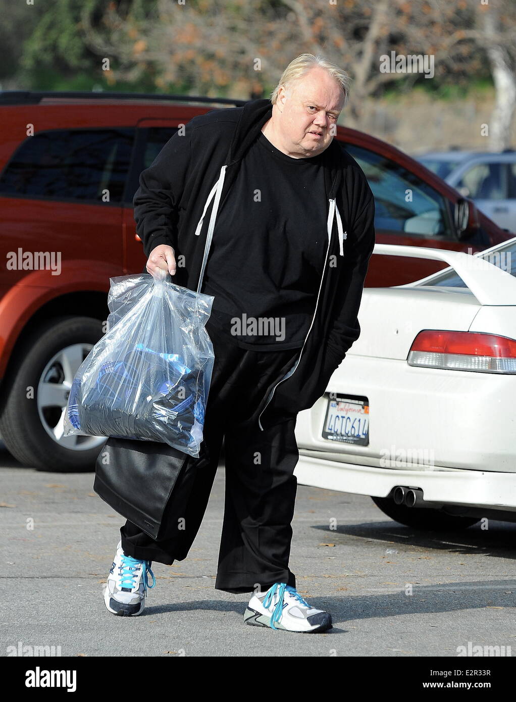 Celebrities practice their dives for the upcoming ABC show 'Splash ...