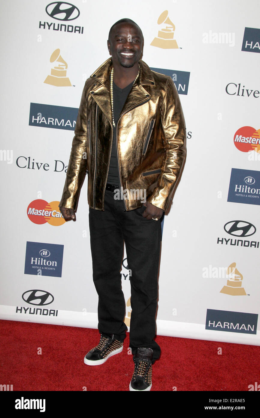 Clive Davis & The Recording Academy's 2013 Pre-Grammy Gala And Salute ...