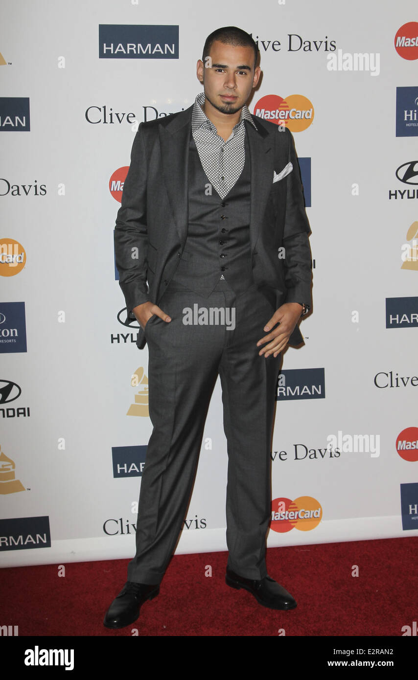 Clive Davis & The Recording Academy's 2013 Pre-Grammy Gala And Salute ...