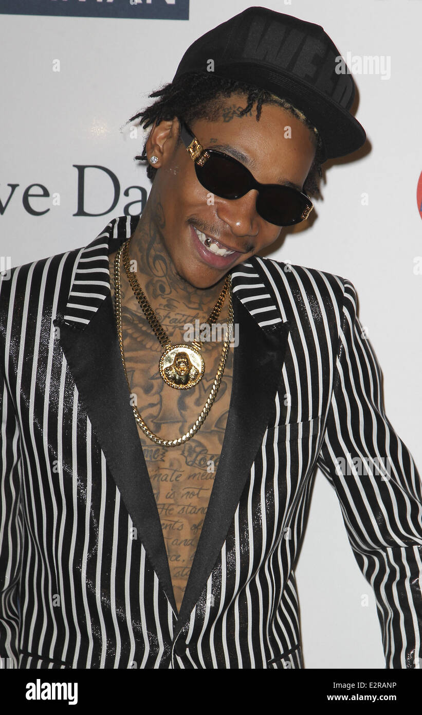 Clive Davis & The Recording Academy's 2013 Pre-Grammy Gala And Salute ...