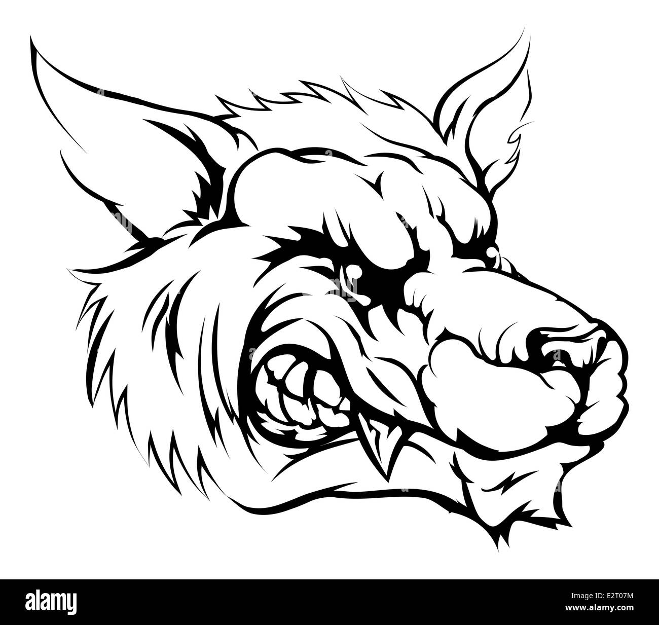 Fierce Animal Drawings