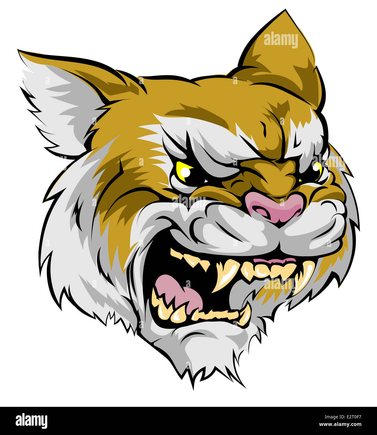 An illustration of a fierce wildcat animal character or sports mascot ...