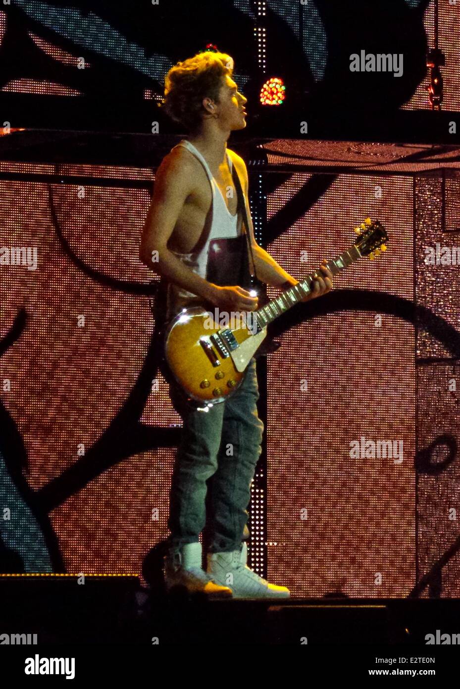 Niall Horan Guitar Take Me Home Tour