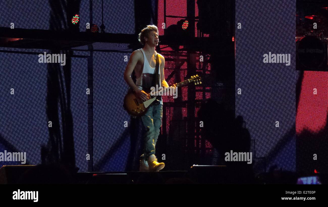 Niall Horan Guitar Take Me Home Tour