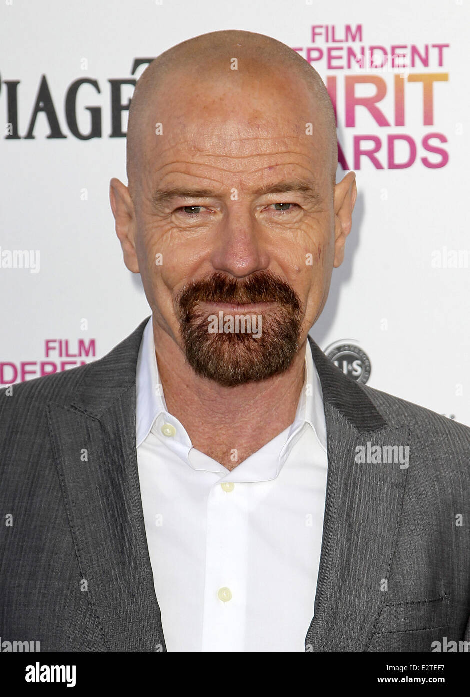 2013 Film Independent Spirit Awards at Santa Monica Beach - Arrivals ...