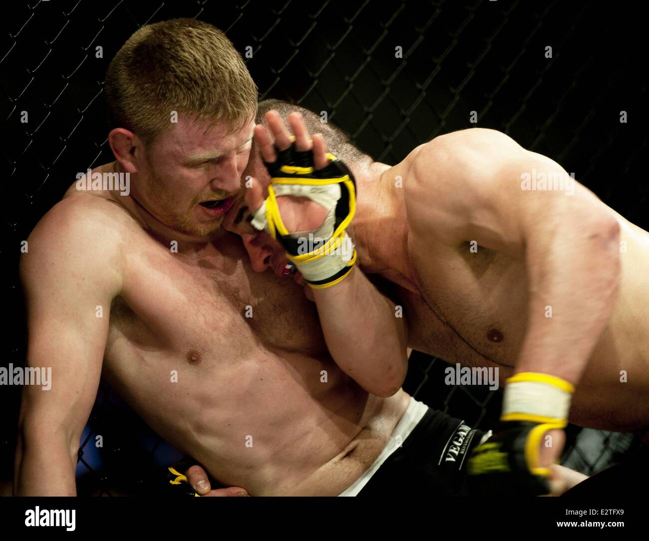 Cage Contender XV1 Fights at National Basketball Arena Featuring: Arni ...