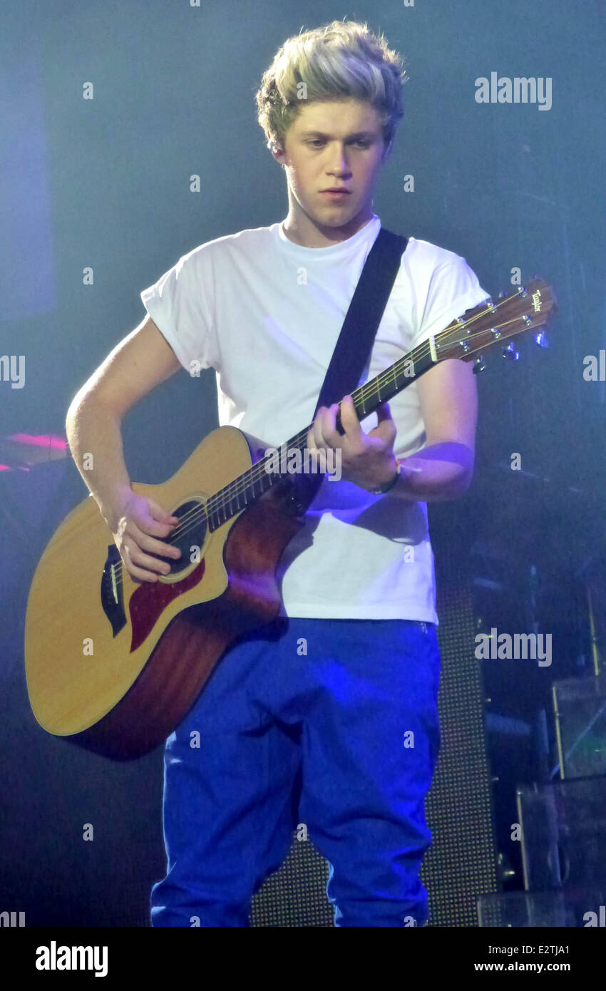Niall Horan Guitar Take Me Home Tour